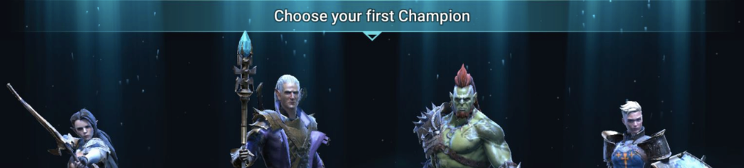 The BEST Beginner Build for Starter Champion! | raidhq.gg